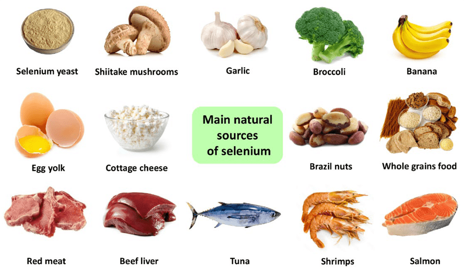 Best Sources of Selenium: Benefits, Foods, and Daily Requirements