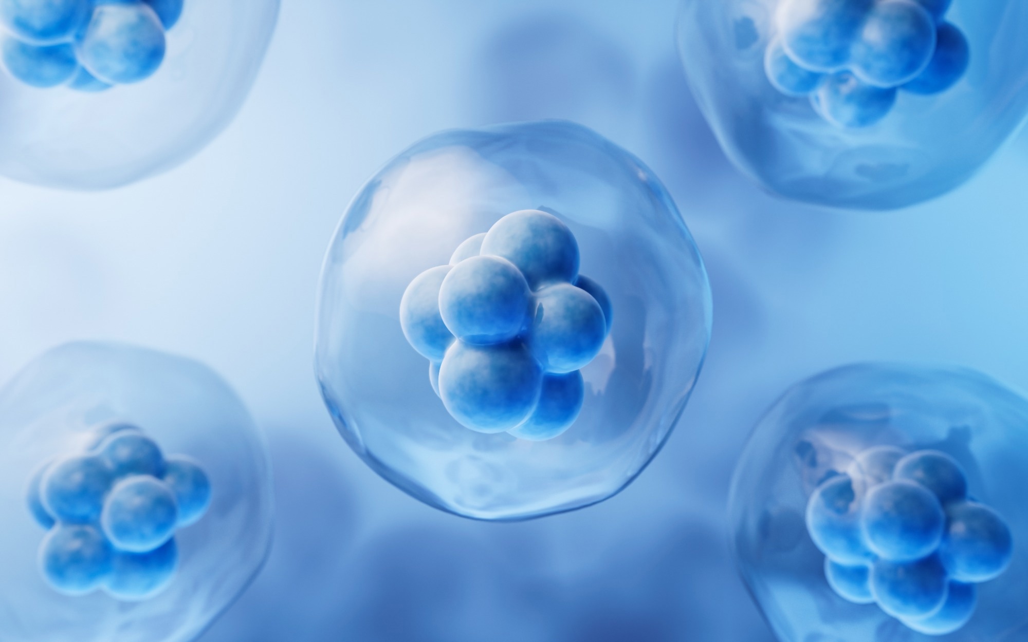 Revolutionizing Drug Testing: Microfluidic Organoid Models