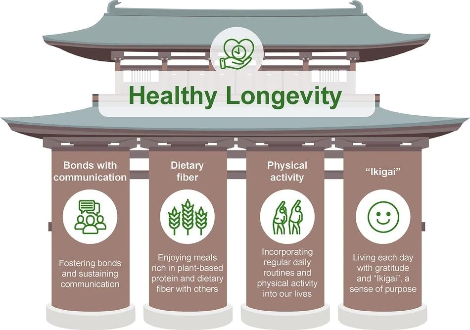 Global experts map out the practical steps that help extend life expectancy