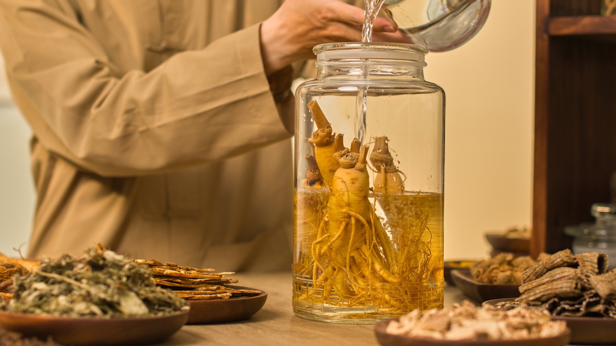 What Is Angelica Root? Benefits, Nutrition, and How It Supports Women’s ...