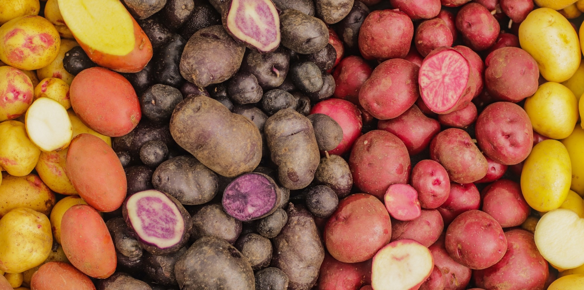 Nutritional Benefits of Colored Potatoes for Heart and Metabolic Health