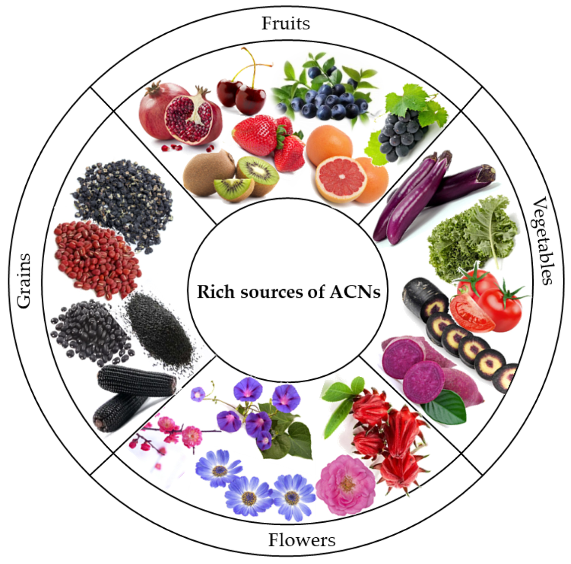 Purple Power: Evidence-Based Health Benefits of Anthocyanin-Rich Diets