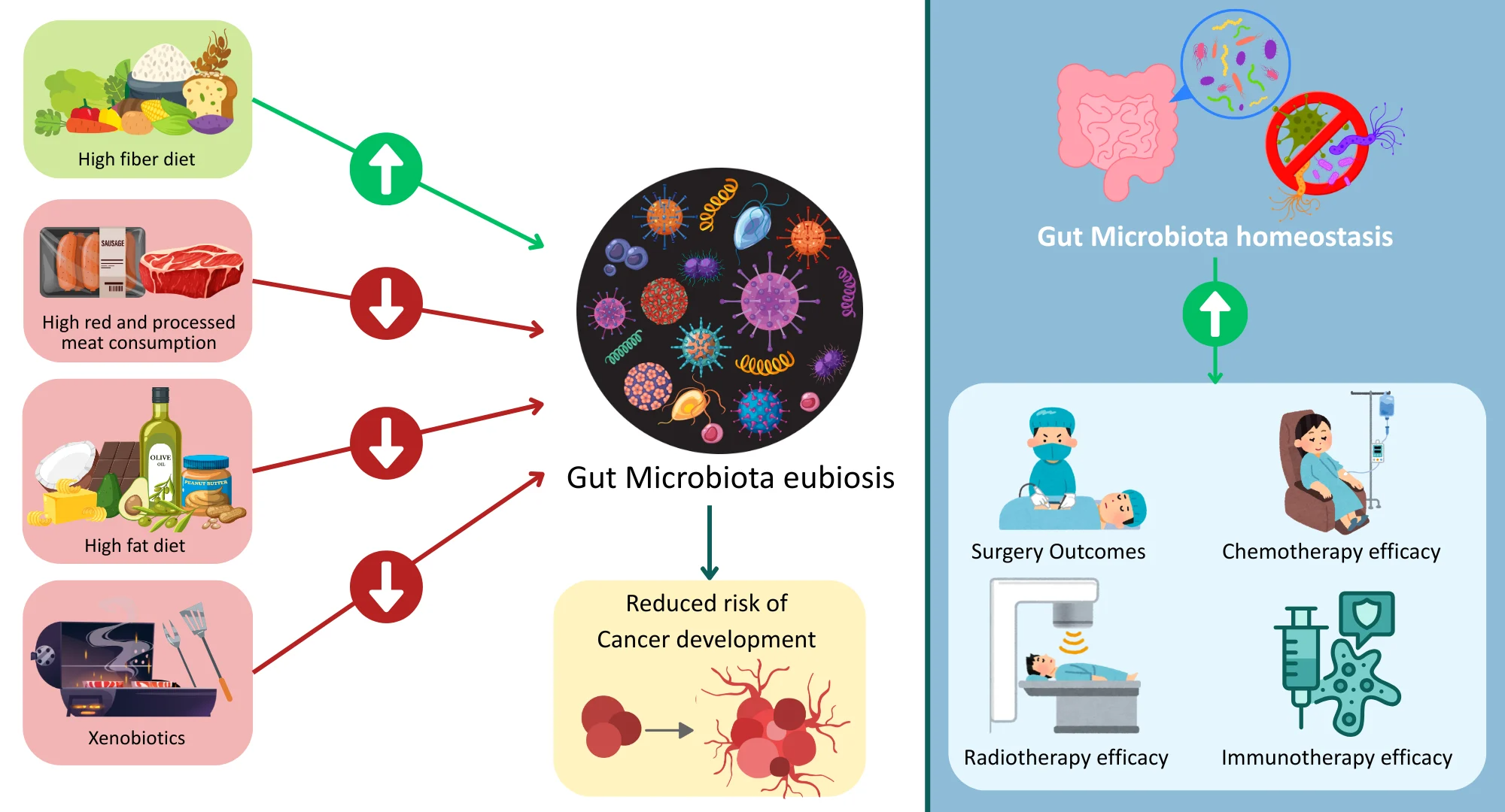 The Role of the Gut Microbiome in Gastrointestinal Cancer Development
