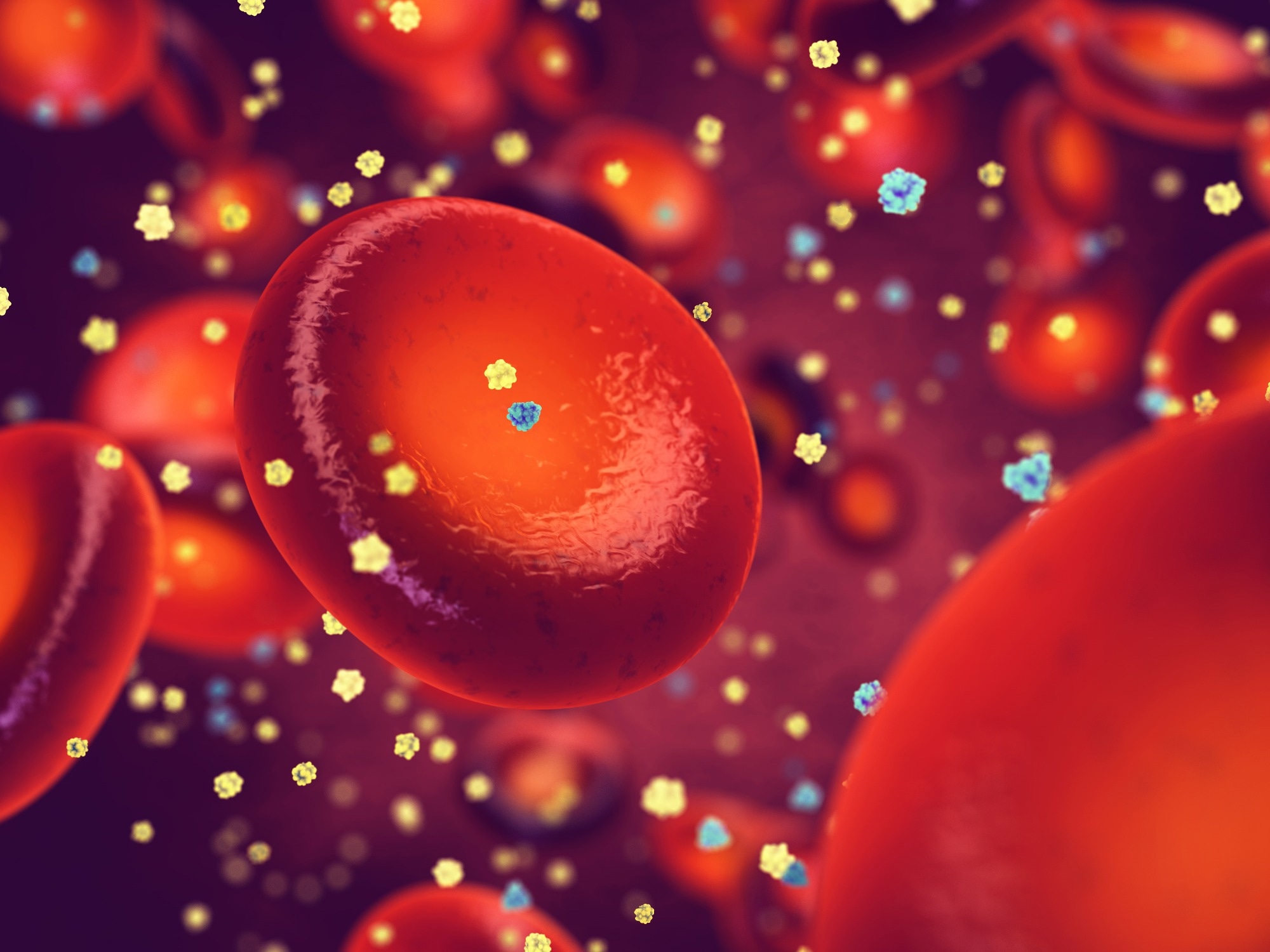 Researchers show red blood cells drive better glucose tolerance at high ...