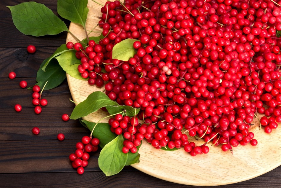 Schisandra Berry Benefits, Side Effects, Dosage, and Uses