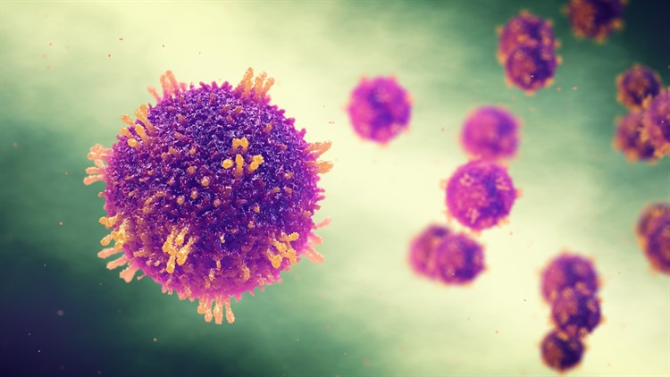 Immune Amnesia: How Measles Weaken Your Immune System