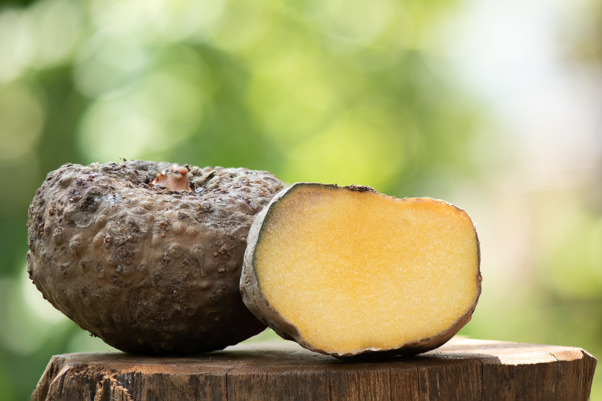 Konjac Glucomannan for Weight Loss and Blood Sugar Control