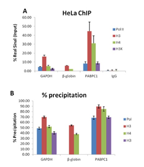 Chromatrap 96 High Throughput ChIP for Screening Multiple Epigenetic ...