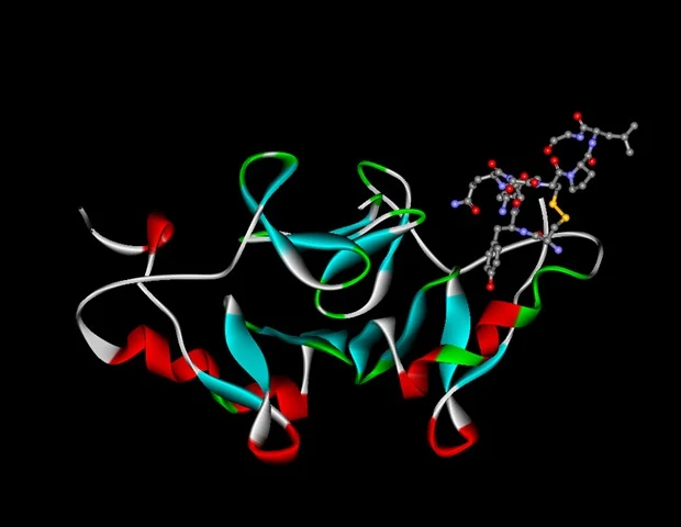 What Does Ghrelin Do?
