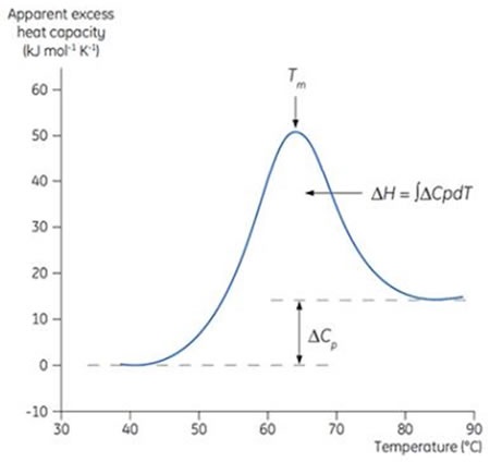 Using Differential Scanning Calorimetry to Expedite the Development of ...