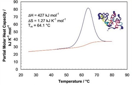 Characterization of Protein Stability Using Differential Scanning ...
