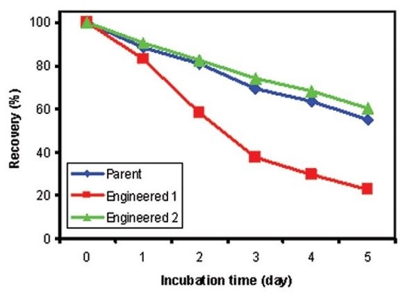 Advantages of Using DSC for Stability Screening of Engineered Proteins