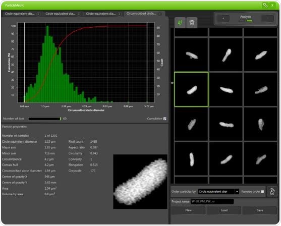 Using Phenom ProX Desktop Scanning Electron Microscope in Microbiology ...