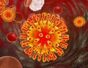 Chancroid and Human Immunodeficiency Virus (HIV)