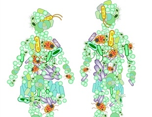 Human Microbiome Project (HMP)