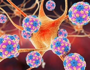 What is Human Parechovirus?