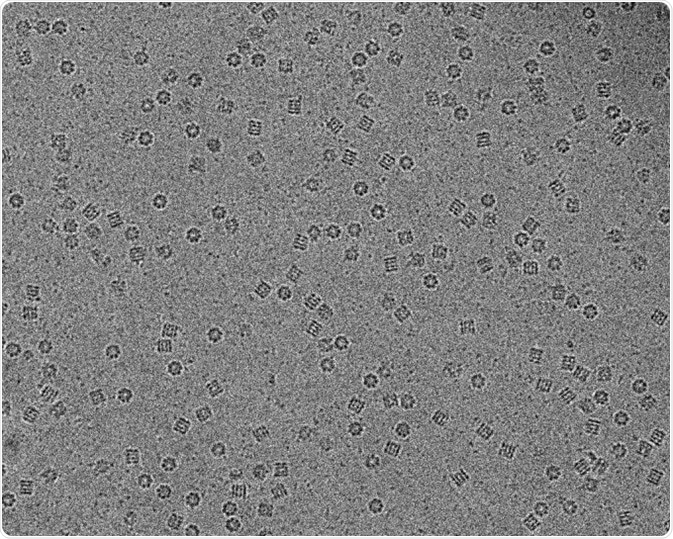 Why Cryo-EM is Gaining Popularity in Structural Biology