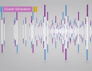 High-throughput DNA Sequencing Techniques