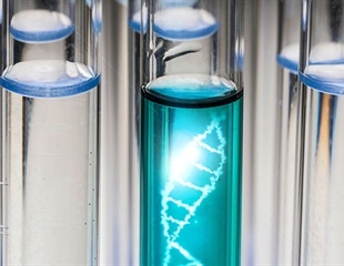Applications of Yeast Two-Hybrid Screening