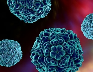 The EV71 Virus May Use a Human Protein to Aid Infection