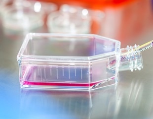 Common Problems in Cell Culture