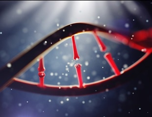 Whole Genome Bisulfite Sequencing (WGBS) Applications