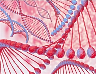 Tyramide Signal Amplification (TSA) Methodology