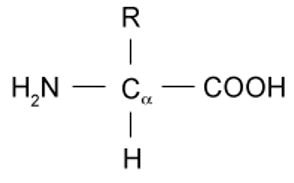 Overview of Strecker Amino Acid Synthesis