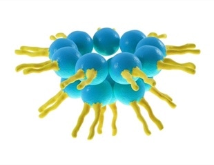 What is a Protocell?