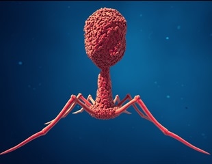 Phage Display Explained