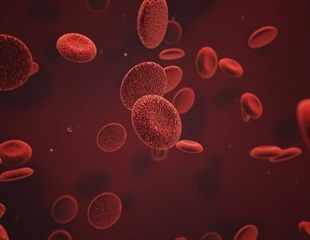 What is Hematopoiesis?