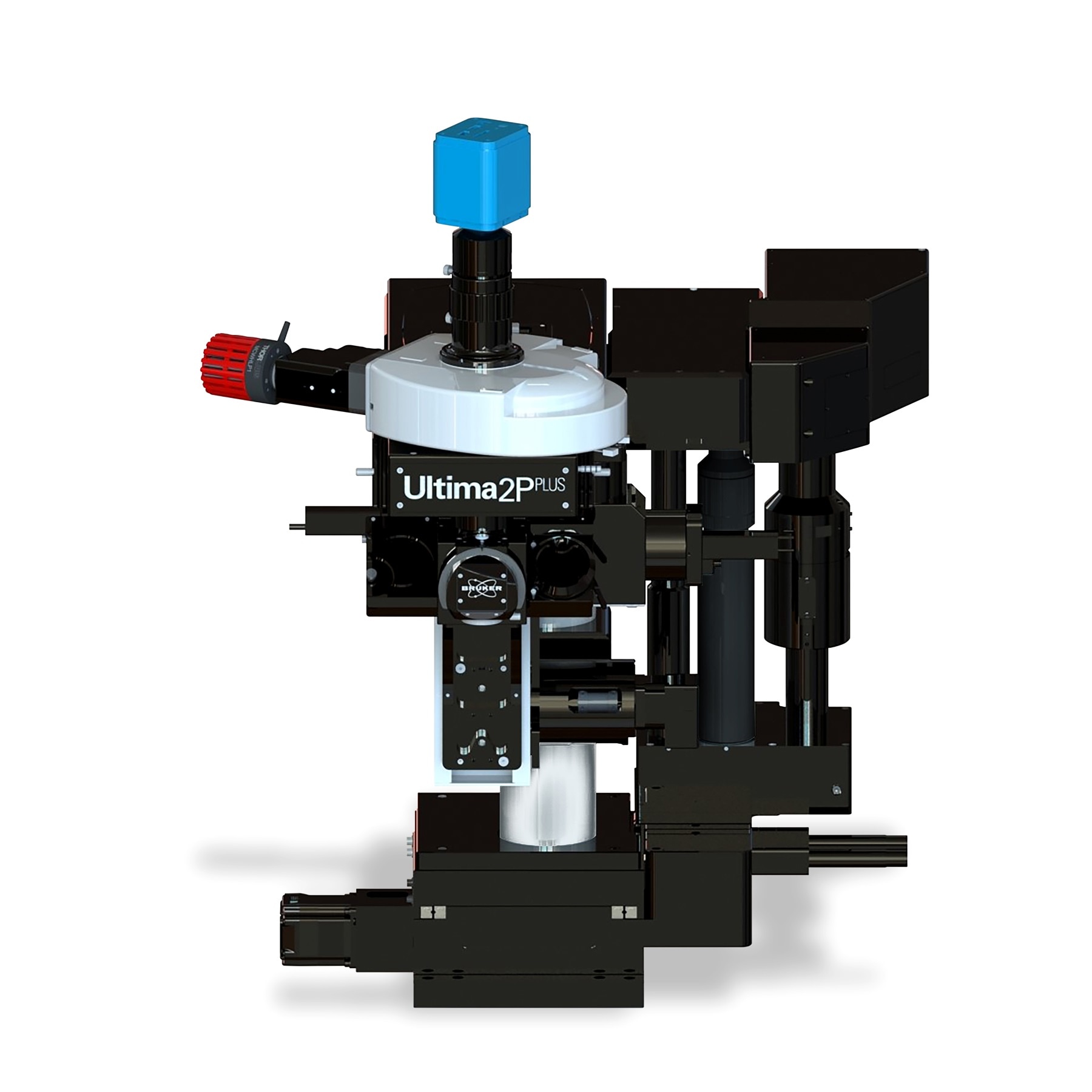 Multiphoton microscope for neurobiology applications introduced by Bruker