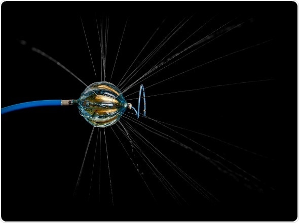 Biosense Webster treats first patient in U.S. IDE study of HELIOSTAR RF ...