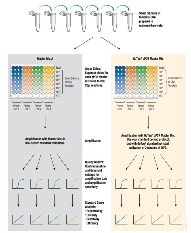 Real-Time qPCR: Considerations for Comparing Reagent Performance