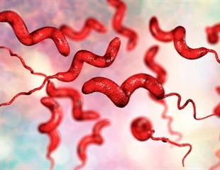 What is Campylobacteriosis?