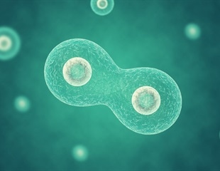 The Mechanism of DNA Damage by UV Radiation