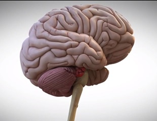 Sonic Hedgehog Medulloblastoma Causes