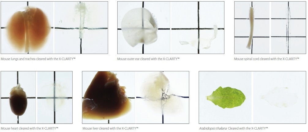 X-CLARITY™ Tissue Clearing System II : Get Quote, RFQ, Price or Buy