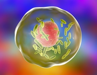 Q Fever Symptoms