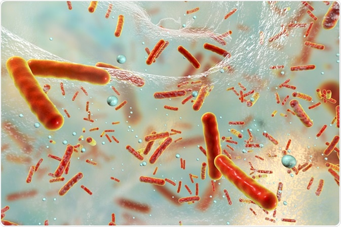 Biofilms in Human Disease