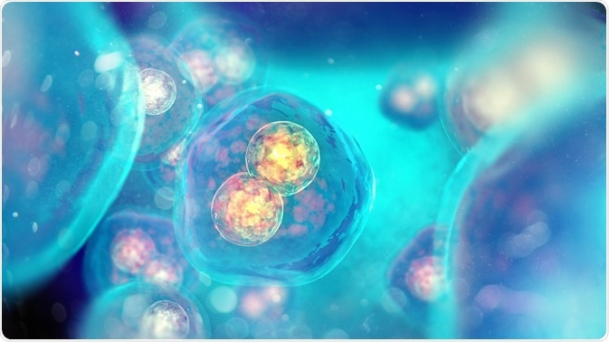 What is Proteostasis?