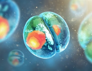 What Are Cyclins?