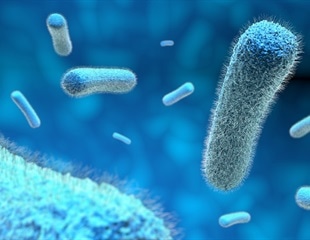 Study sheds light on how good bacteria prevent gut inflammation