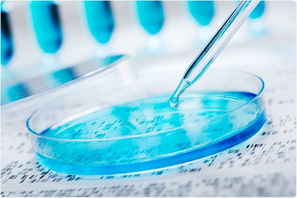 Imaging study shows how junk DNA activates genes