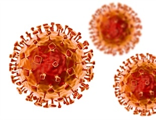 Nipah Virus Diagnosis and Treatment