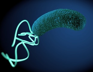 Growing Fastidious Microorganisms in the Laboratory
