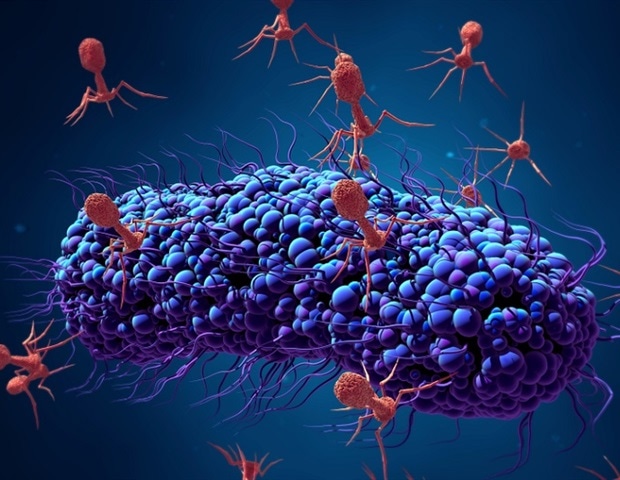 Phage engineering gives antibacterial therapy a new lease of life