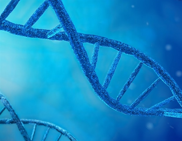The atomic-level structure of DNA polymerase delta – the enzyme behind ...