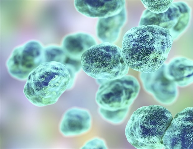 Researchers predict Tularemia outbreaks as climate changes