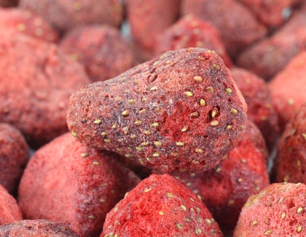 Lyophilization (Freeze-drying) in the Food Industry